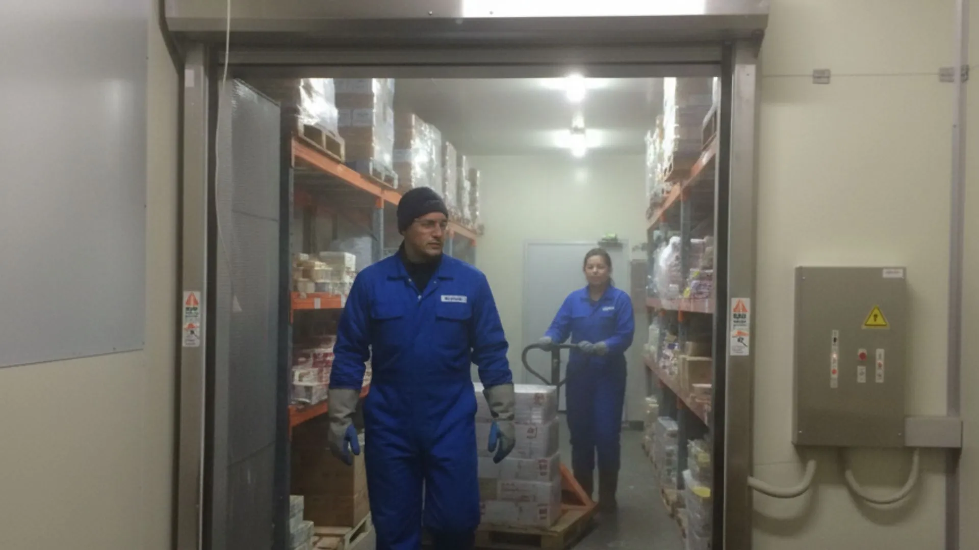 Pintu Cold Room Otomatis Standar Jepang